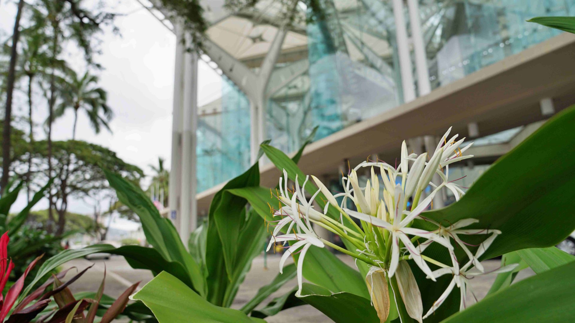 (Photo Gallery) Kawaii Kon 2023 - Day 2 at Hawaii Convention Center ...